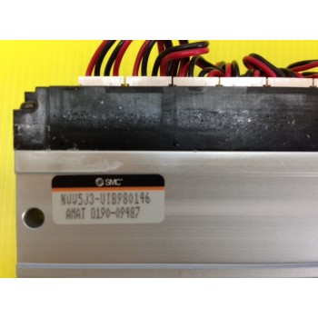 AMAT 0190-09487 PNEU MANIFOLD 24-STATION